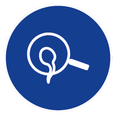 Horse - NIFA Technologies