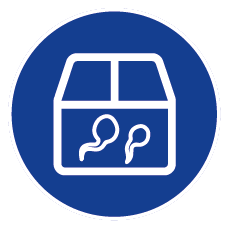 Horse - NIFA Technologies